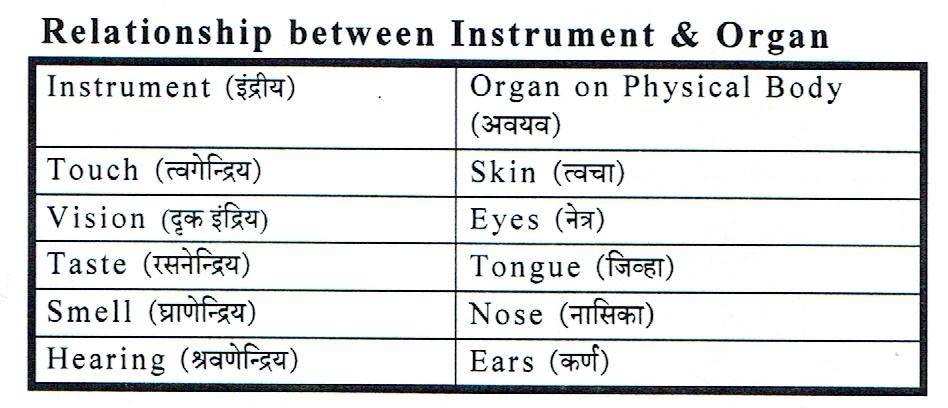 Human Body System Engineering Percepective - स्वामीज्ञानप्रकाश